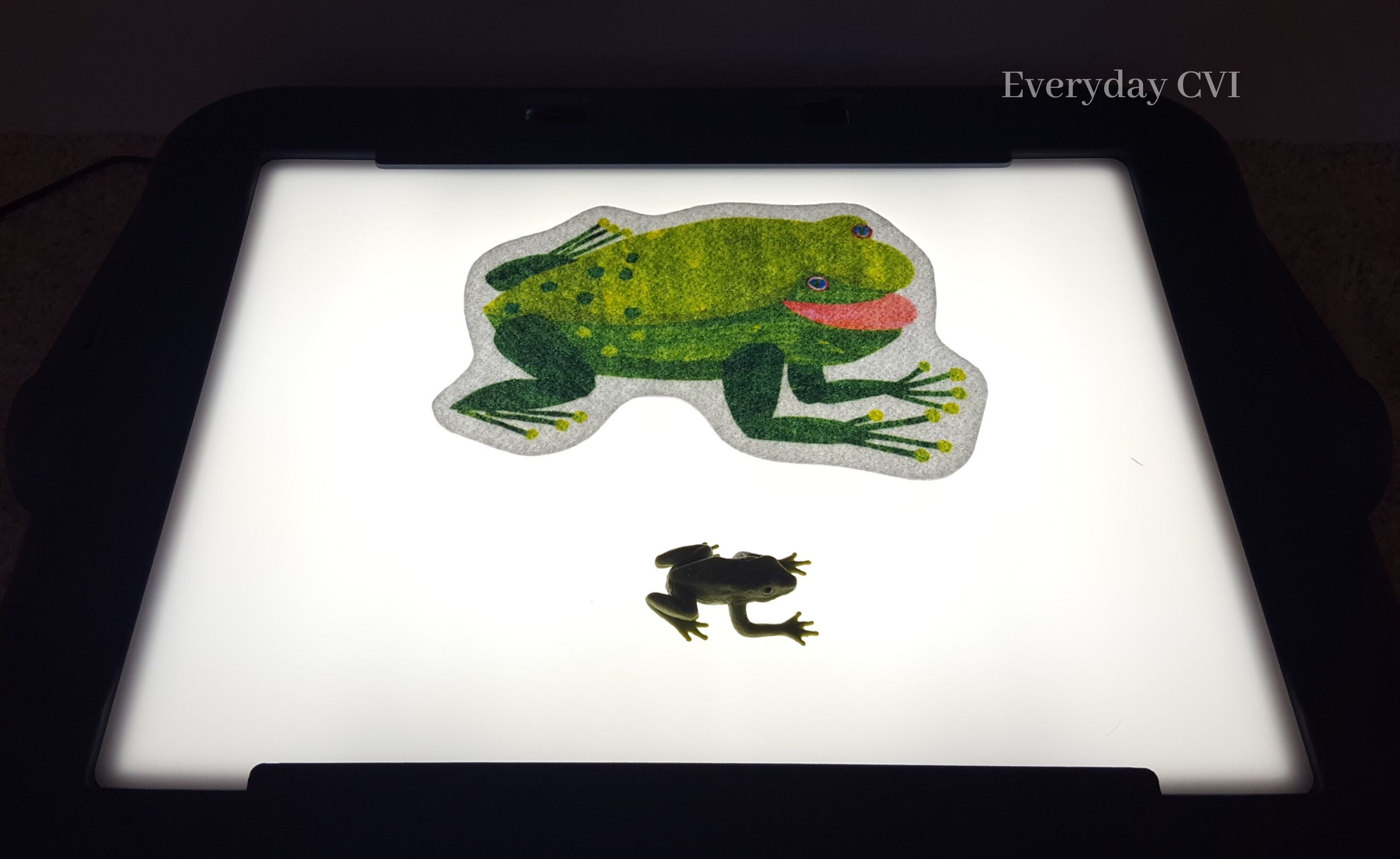 CVI Strategies for Reading “Brown Bear, Brown Bear” – Everyday CVI