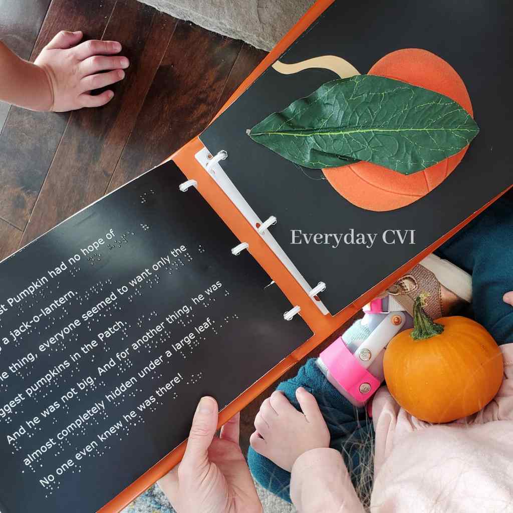 Books – Everyday CVI